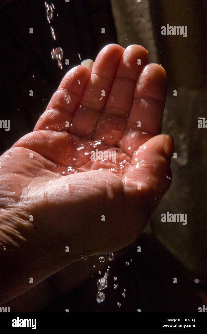 St.Winefride's Well,a holy site where a spring brings water from the ...