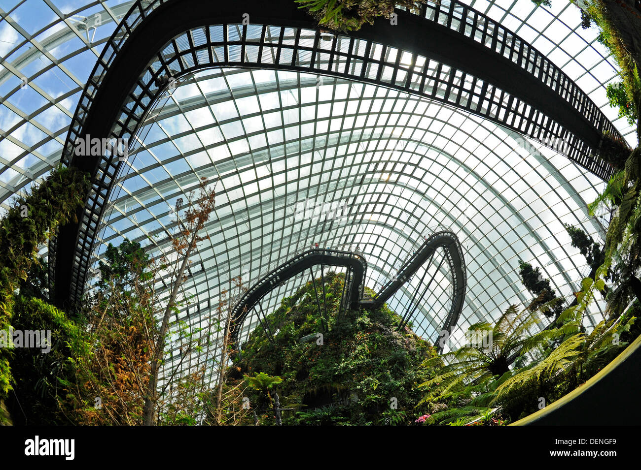 Singapore indoor forest hi-res stock photography and images - Alamy
