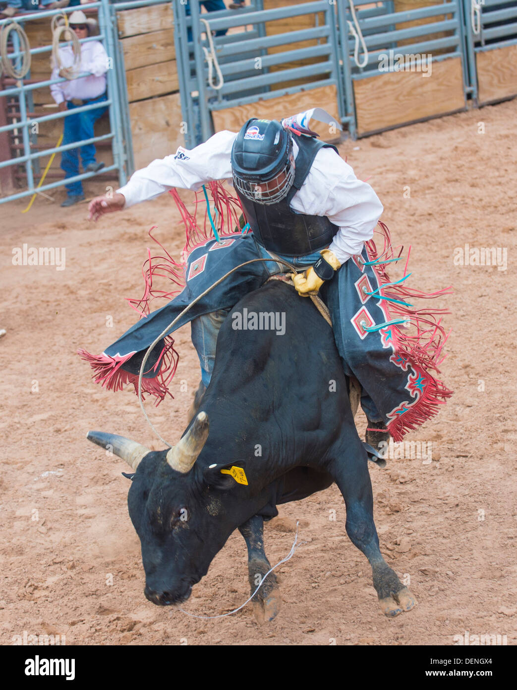 Rodeo bull riding cowboy hi-res stock photography and images - Alamy