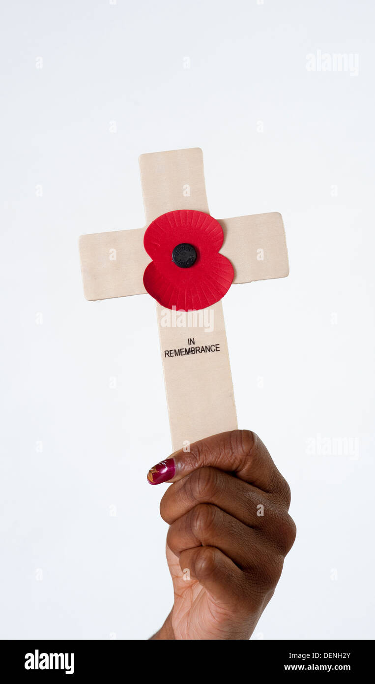 Hand holding poppy hi-res stock photography and images - Alamy