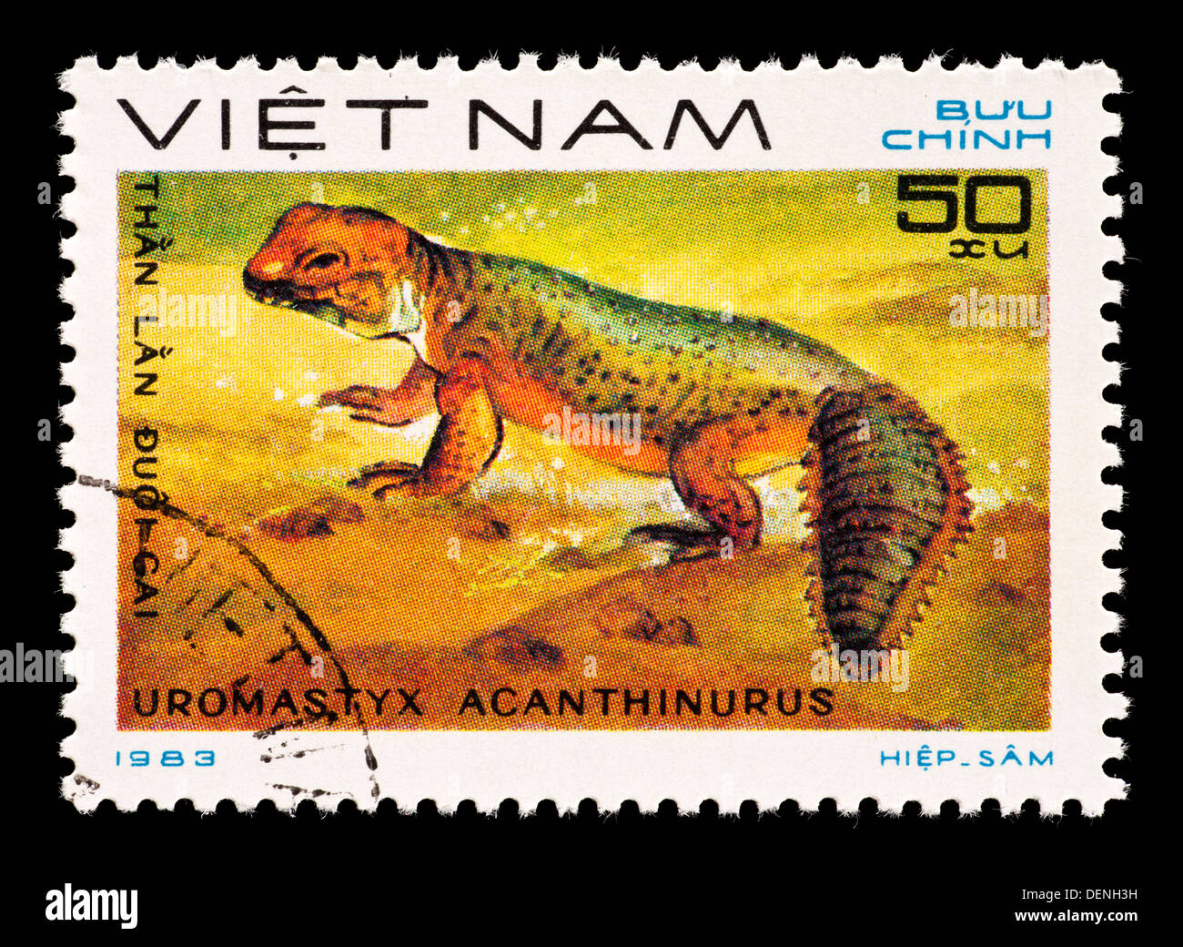 Vietnam lizard hi-res stock photography and images - Alamy