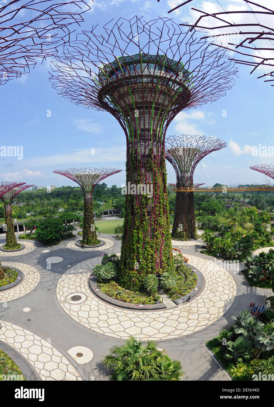 Steel and concrete tree like structures form the Supertree Grove, at ...