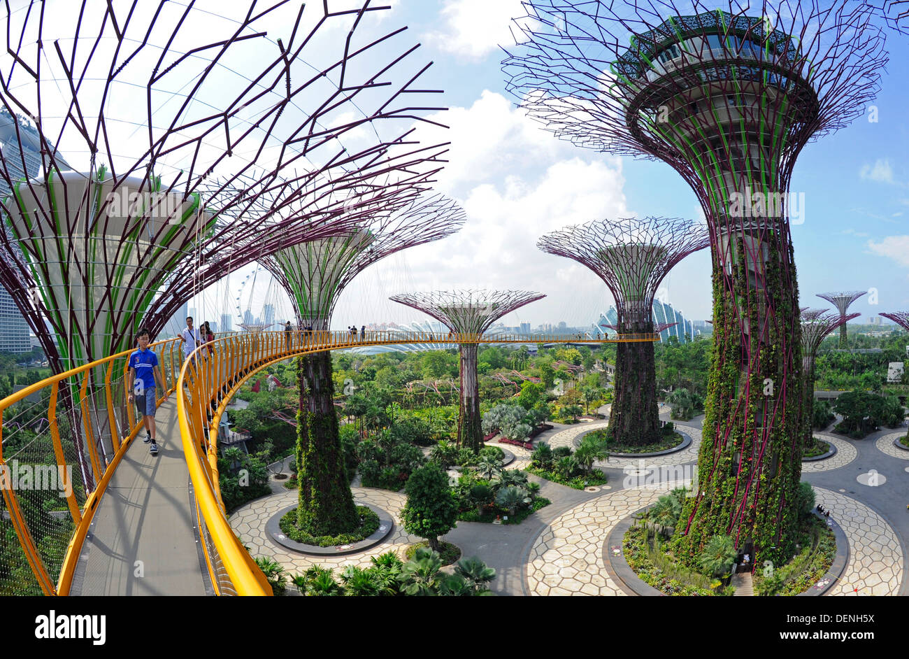 Steel and concrete tree like structures form the Supertree Grove, at ...