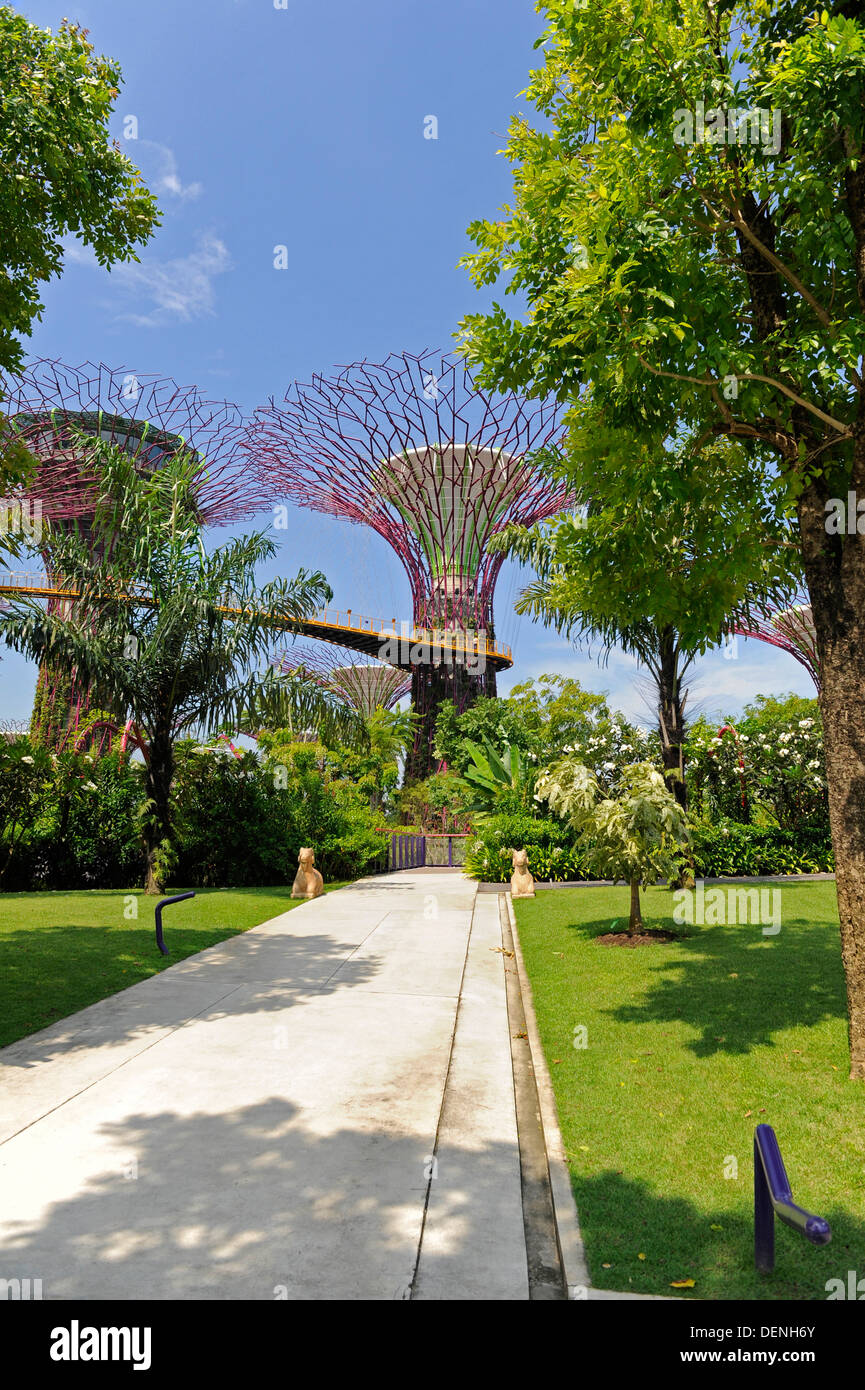 Steel and concrete tree like structures form the Supertree Grove, at ...