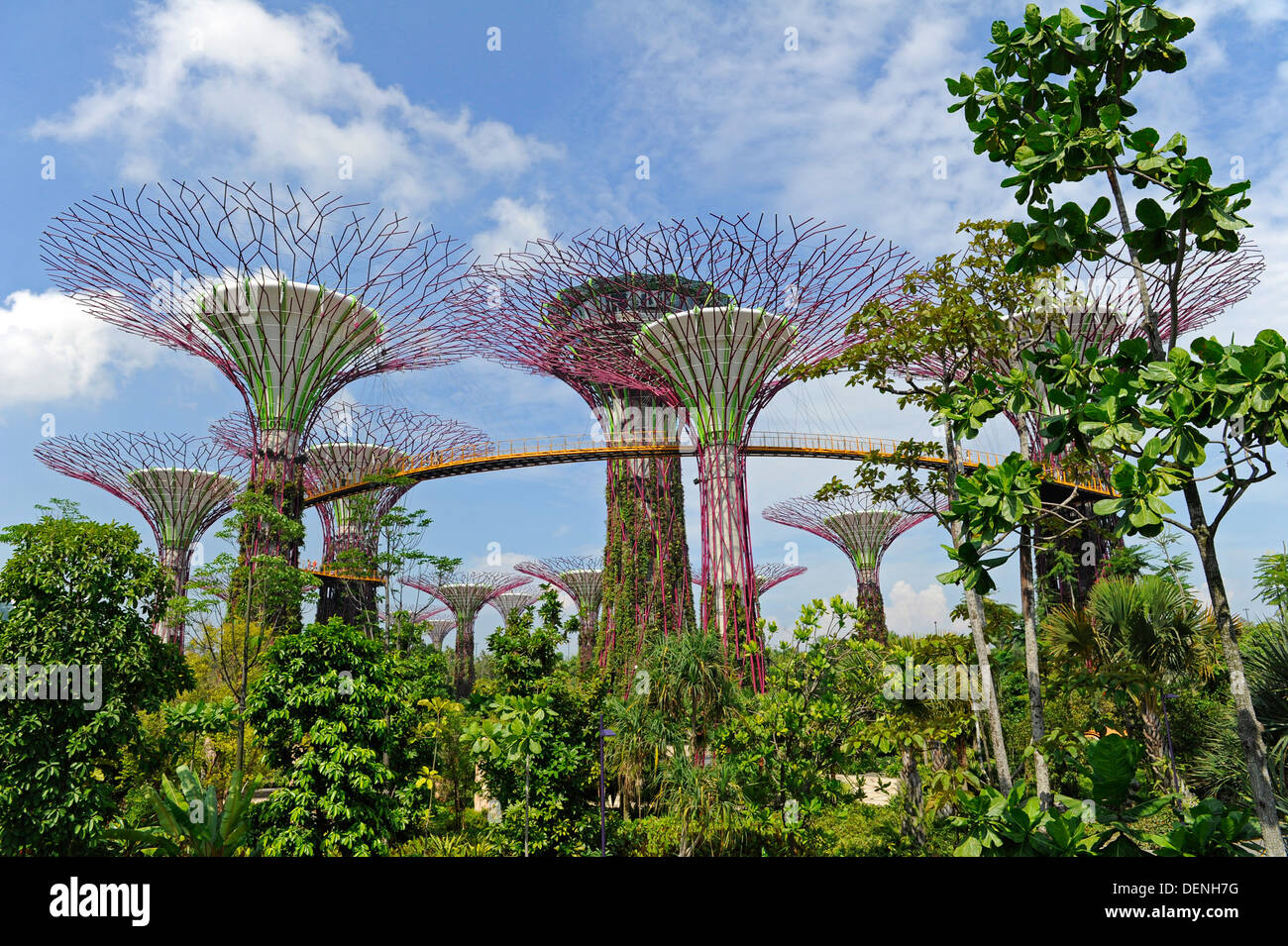 Steel and concrete tree like structures form the Supertree Grove, at ...