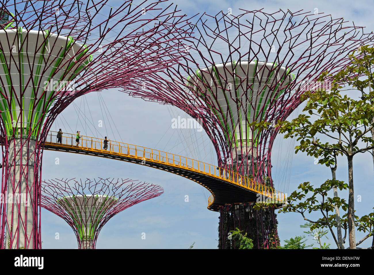 Steel and concrete tree like structures form the Supertree Grove, at ...