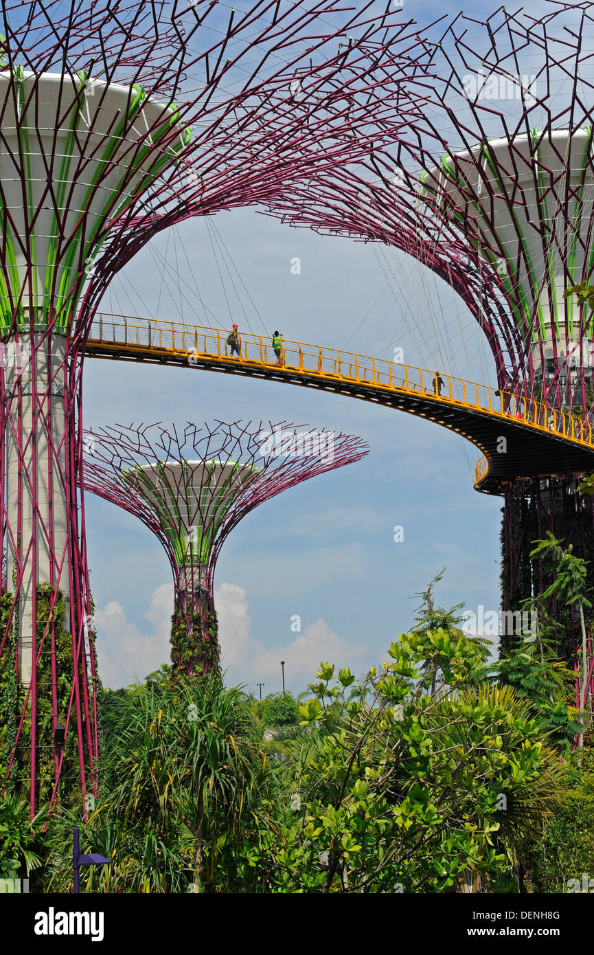 Steel and concrete tree like structures form the Supertree Grove, at ...