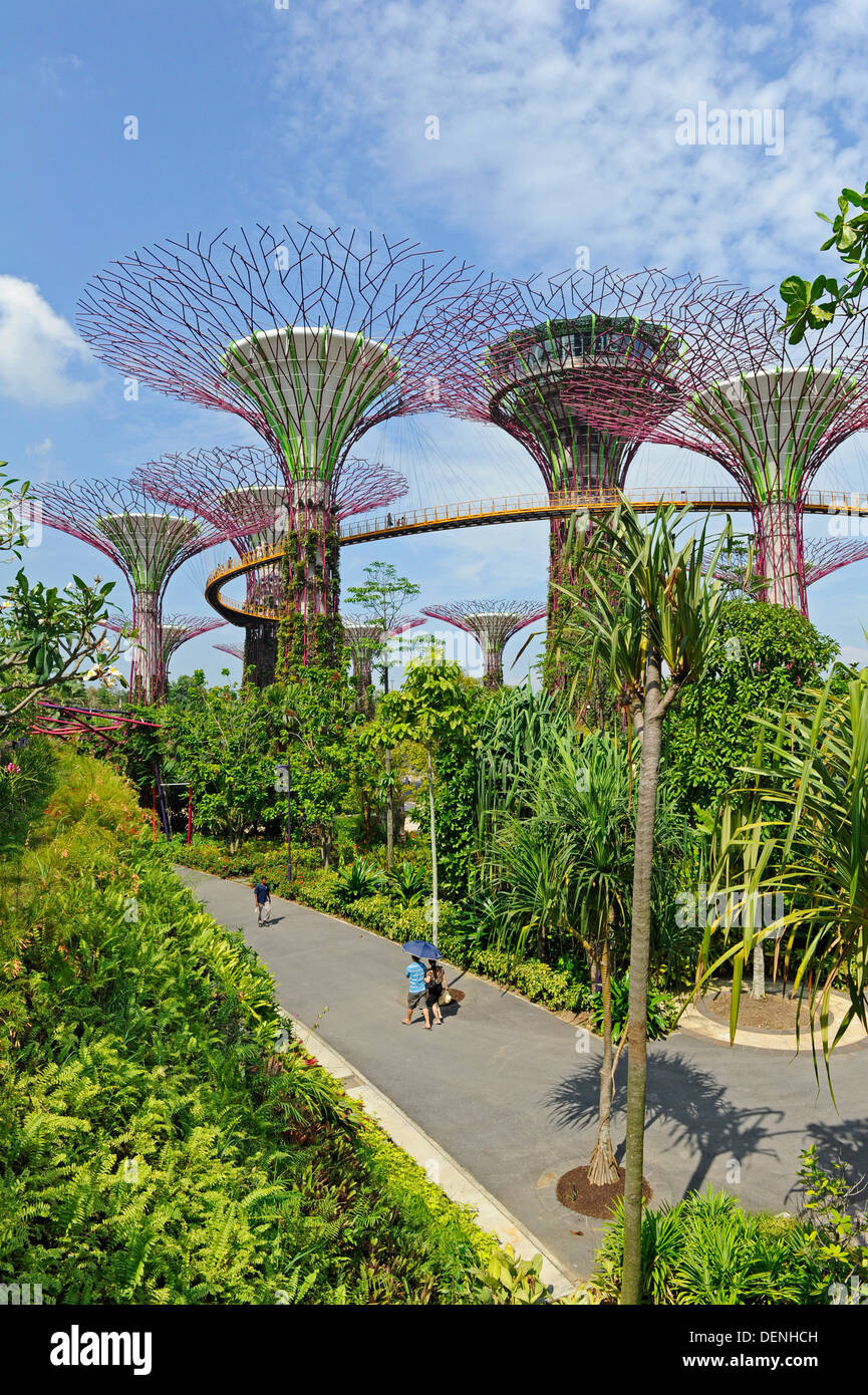 Steel and concrete tree like structures form the Supertree Grove, at ...