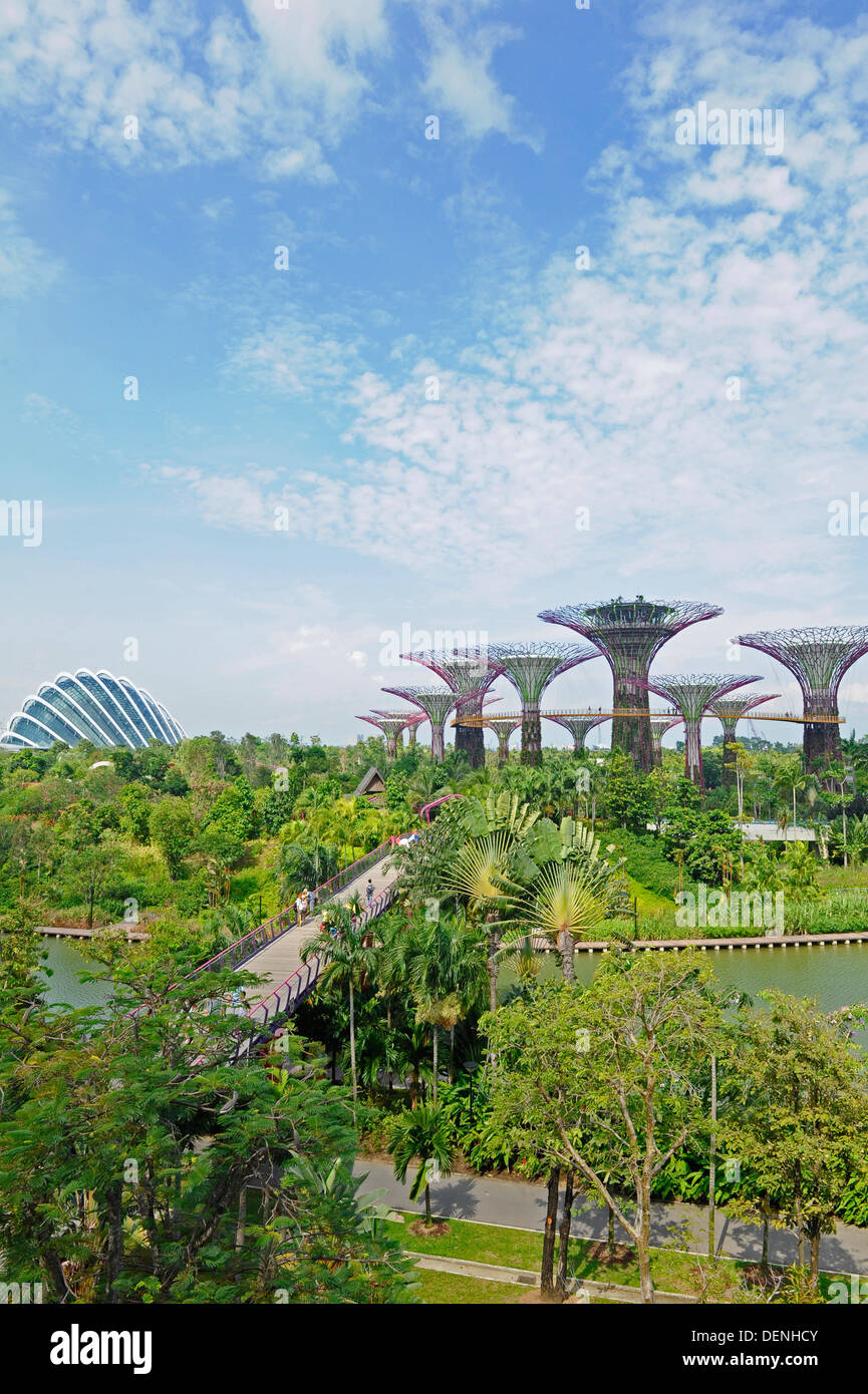 Steel and concrete tree like structures form the Supertree Grove, at ...
