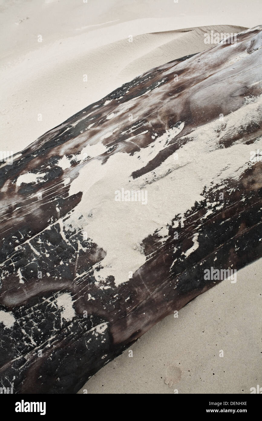 Charcoal burned flamed debris beach sea ocean texture textured hi-res ...