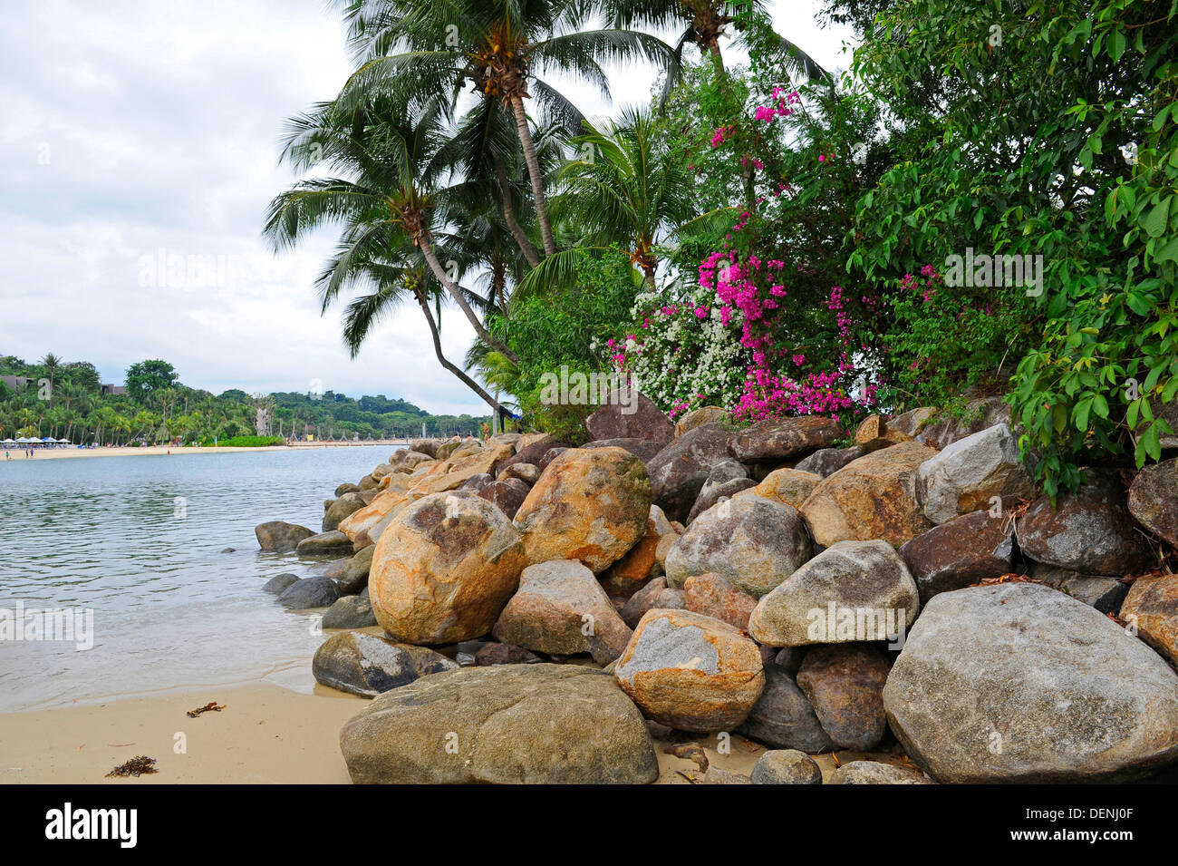 Large boulders and palm trees at the beaches on Sentosa island ...