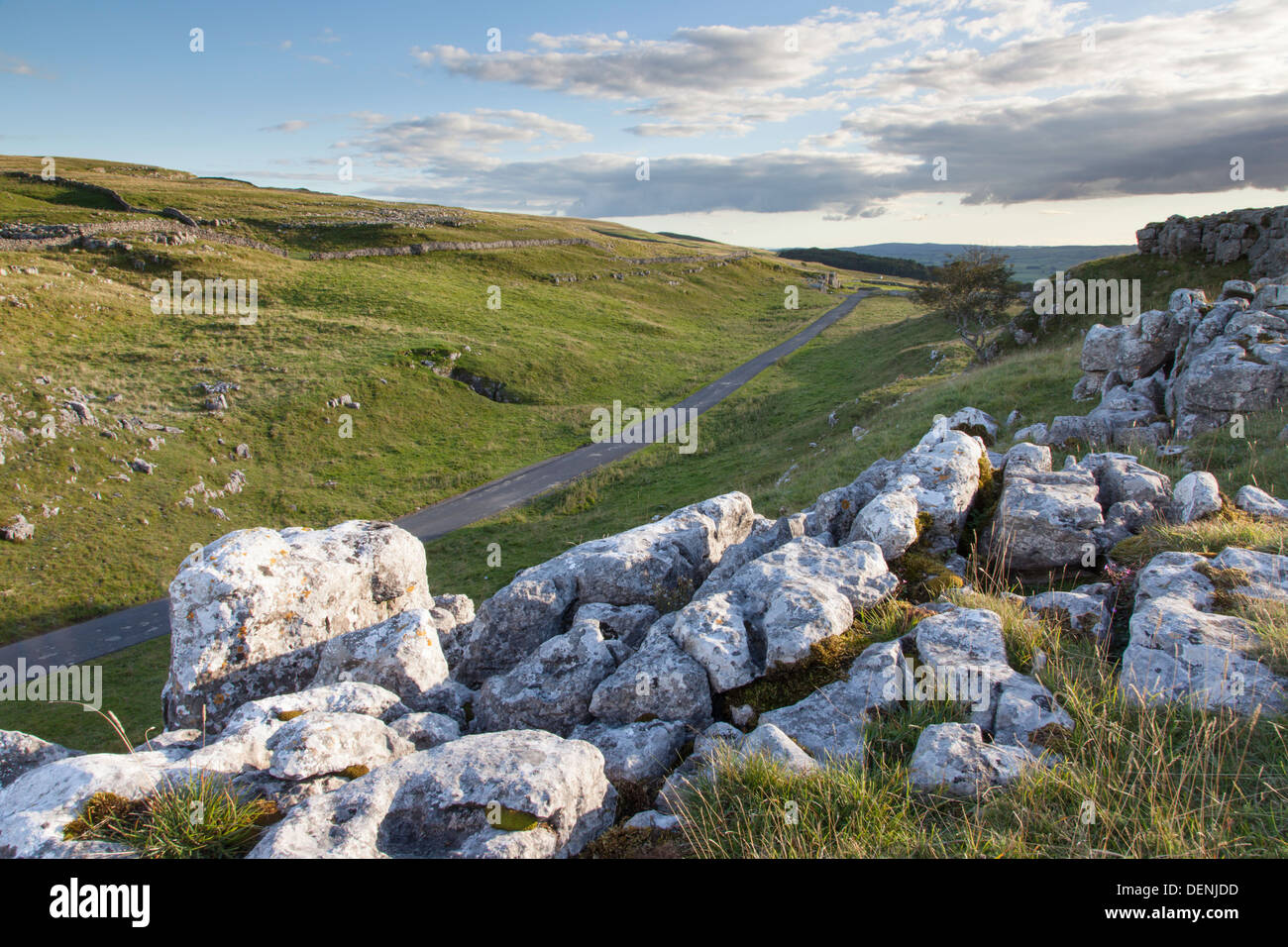 Winskill stones nature reserve hi-res stock photography and images - Alamy