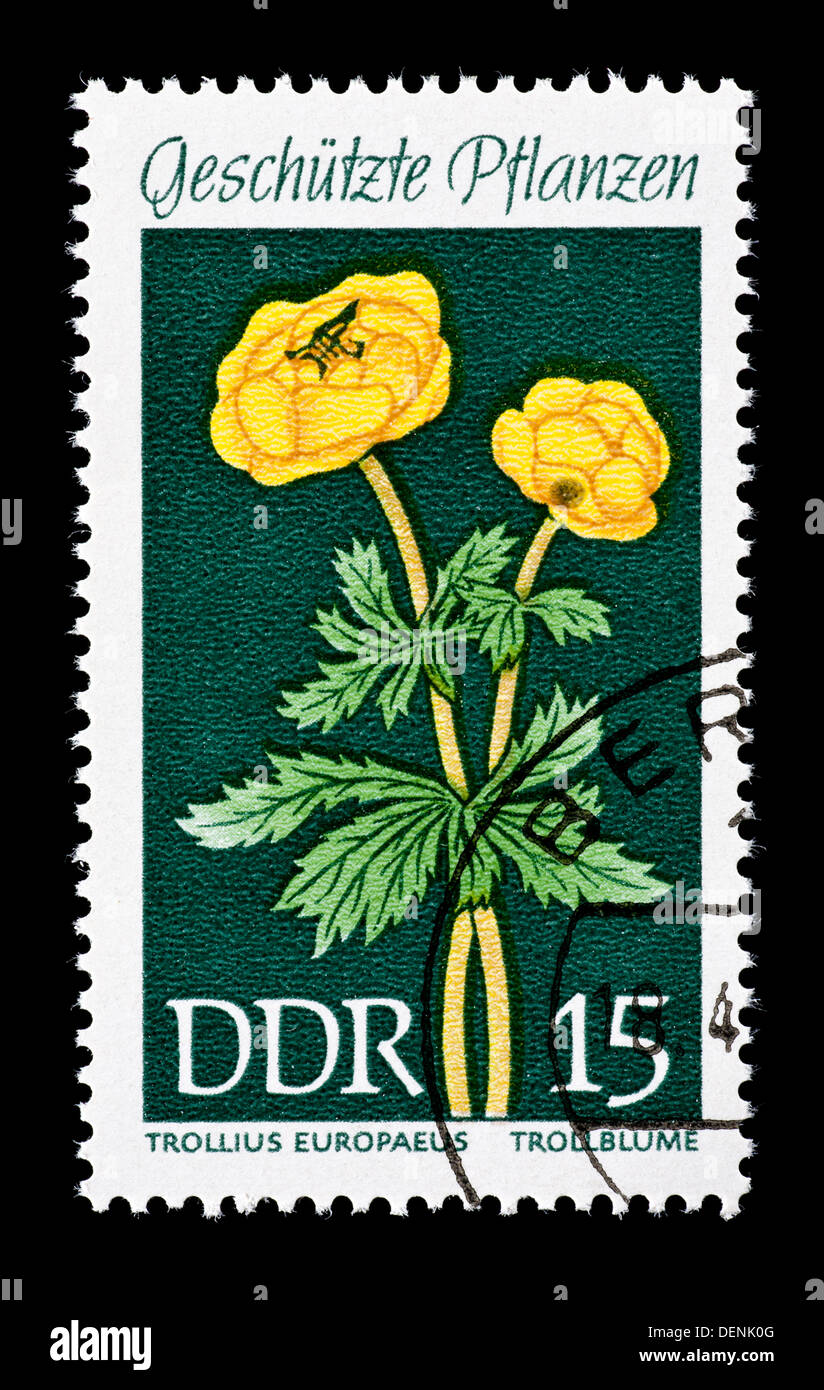 Postage stamp from East Germany (DDR) depicting globeflowers (protected ...