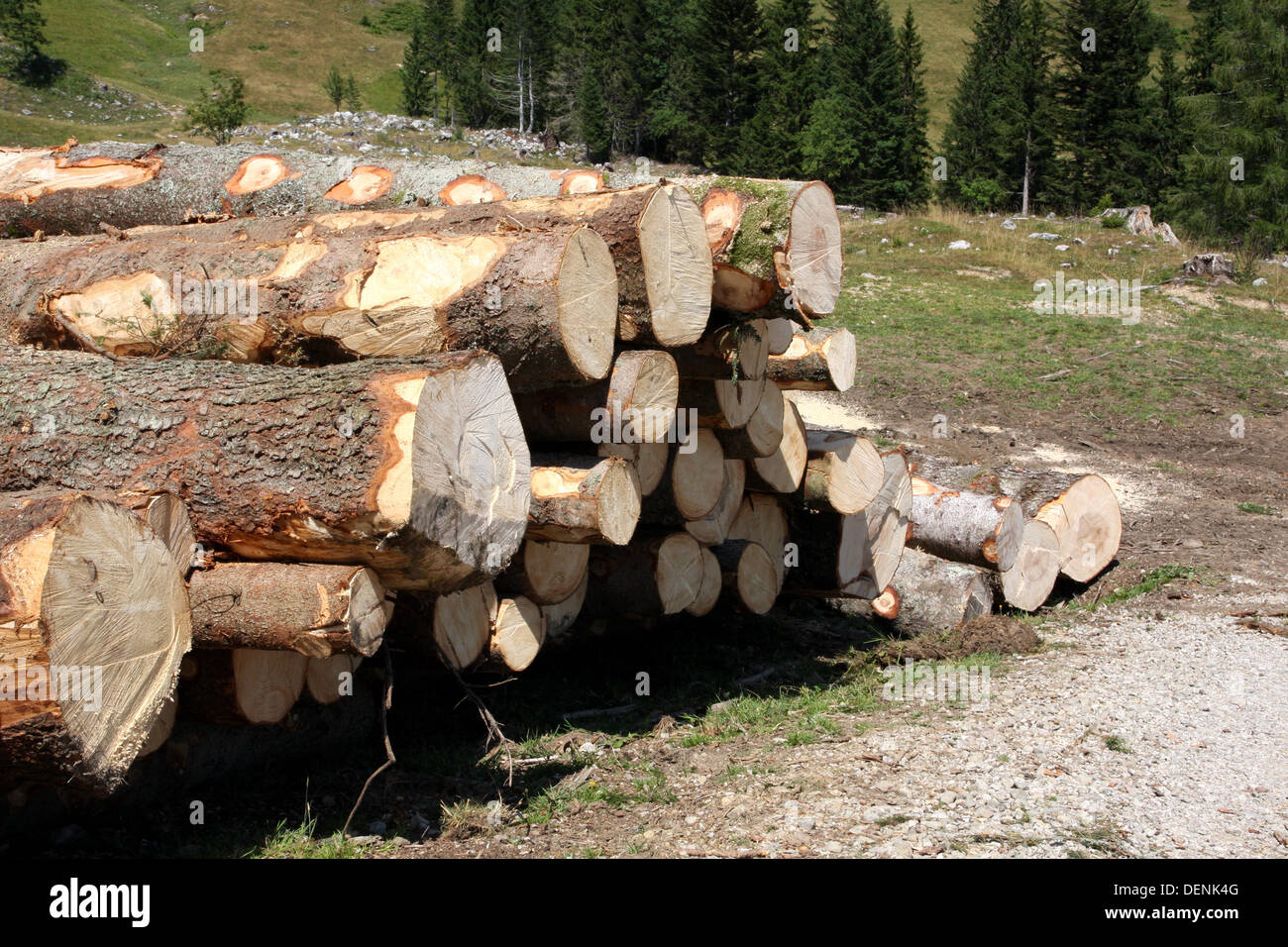 Log pile austria hi-res stock photography and images - Alamy