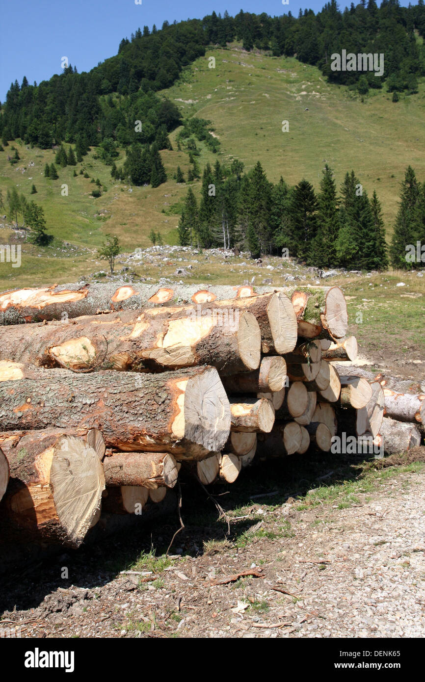 Log stacks hi-res stock photography and images - Alamy