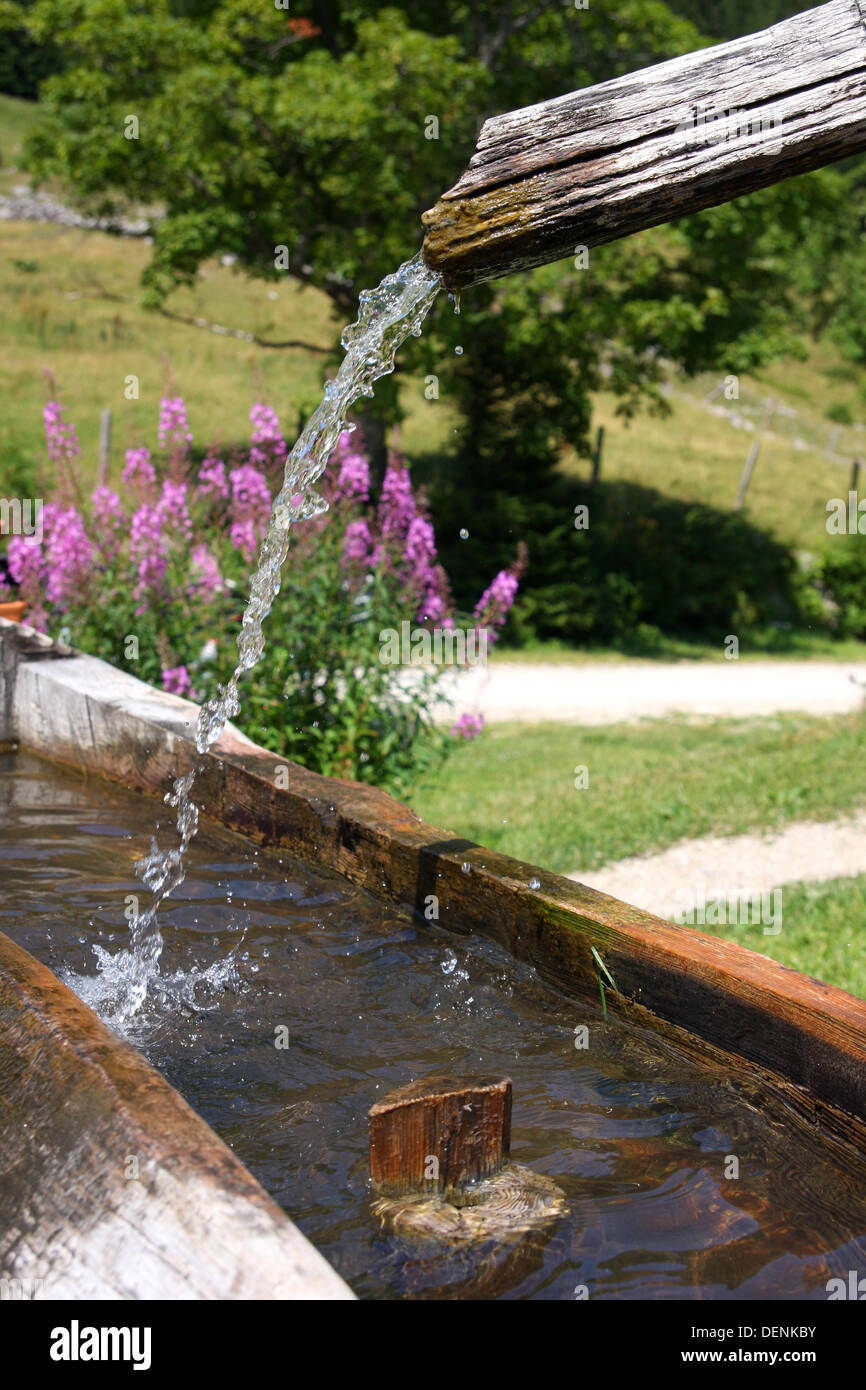 Alpine trough hi-res stock photography and images - Alamy