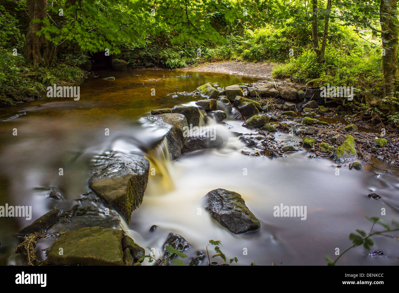 Rivelin valley hi-res stock photography and images - Alamy
