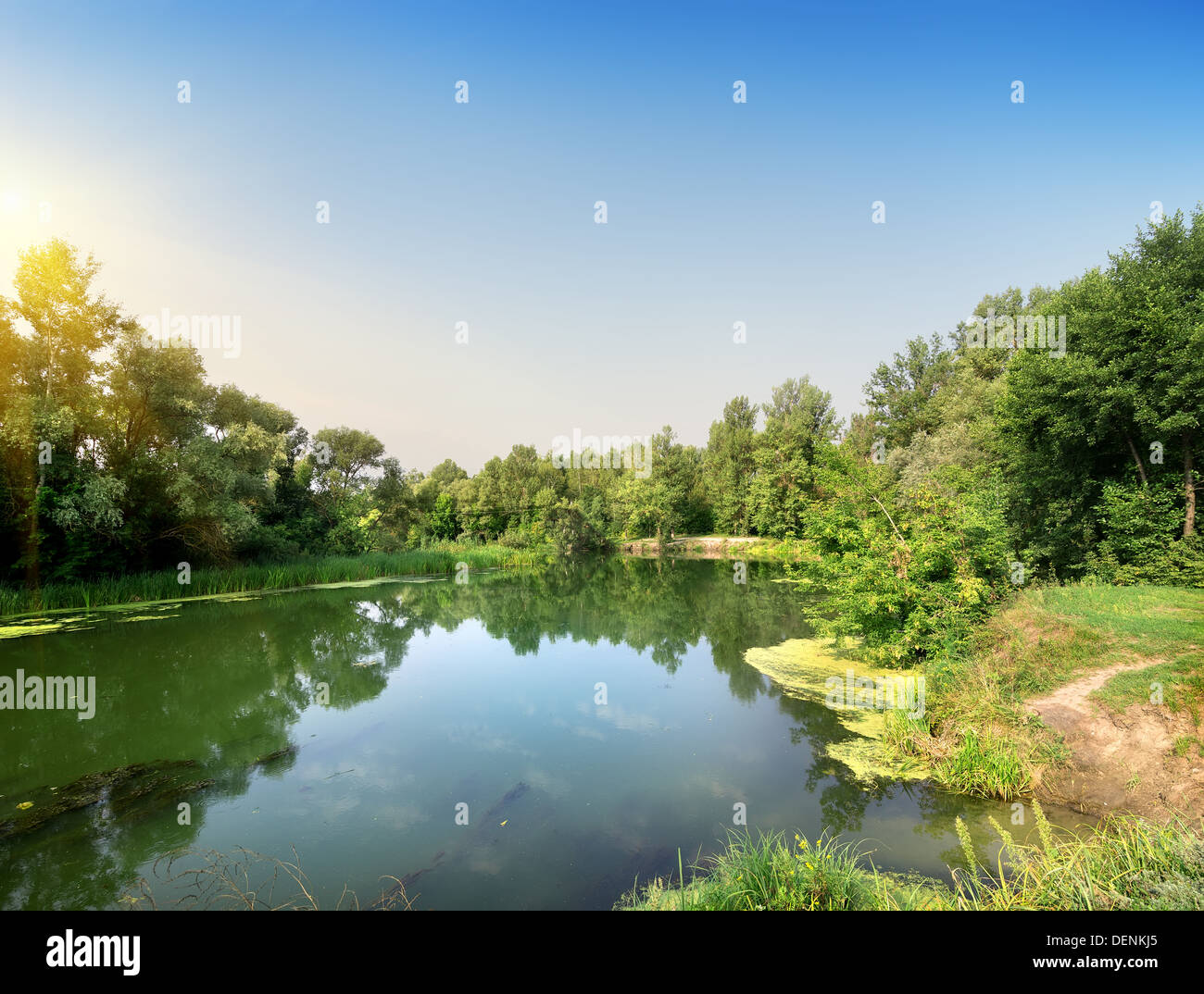 Calm forest scene hi-res stock photography and images - Alamy