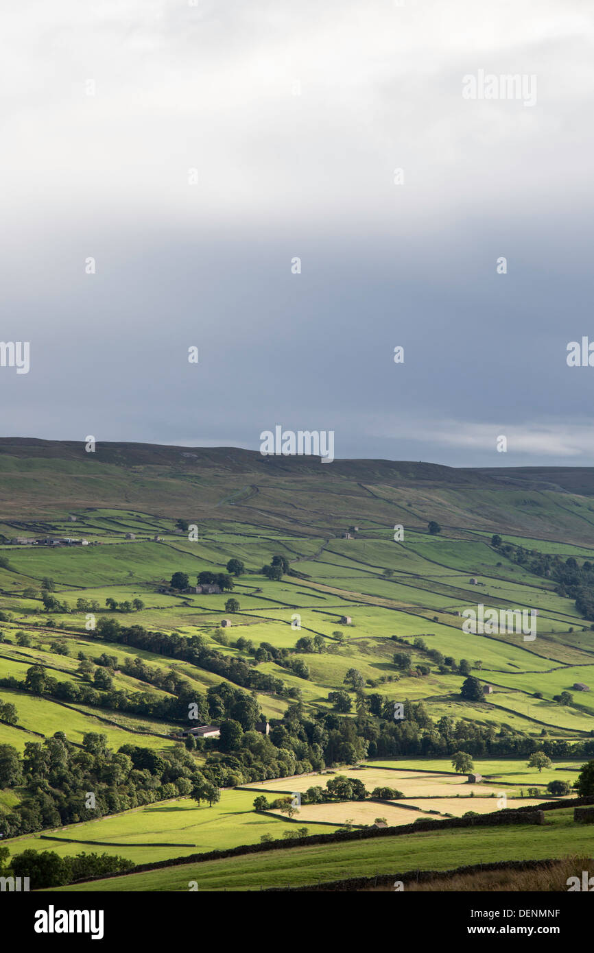 Upper Swaledale near Muker in afternoon light, from the Butter Tubs ...