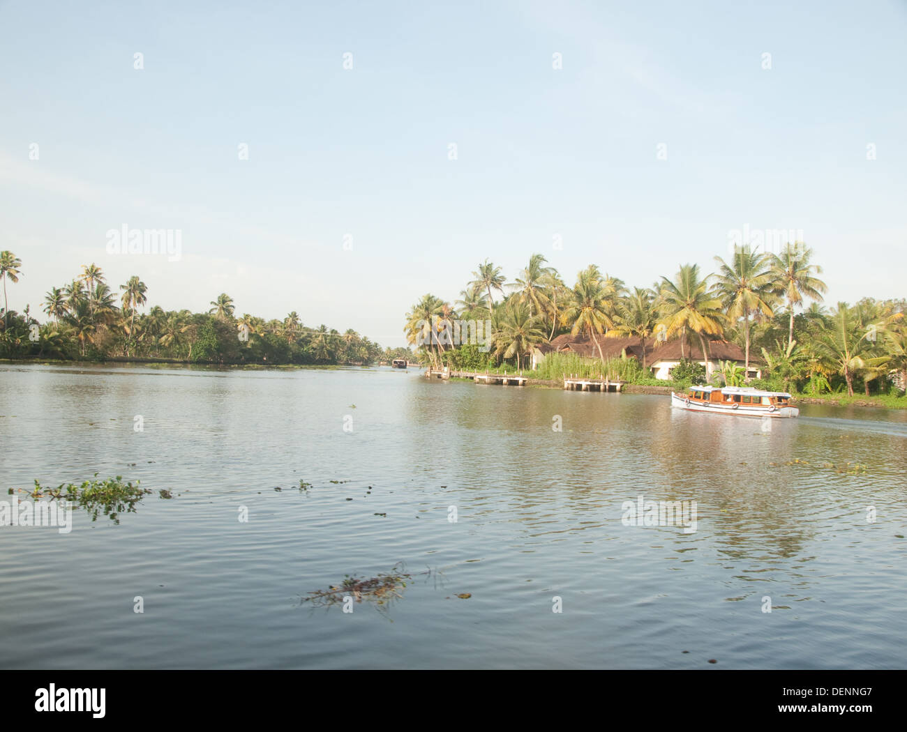 Backwaters Kerala, India Stock Photo - Alamy