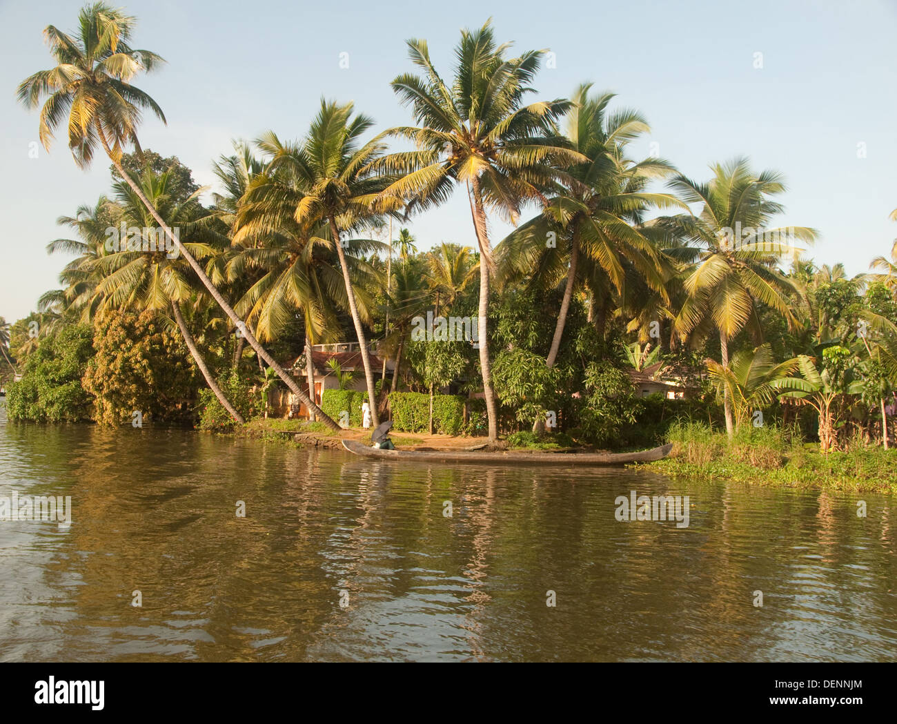 Backwaters Kerala, India Stock Photo - Alamy