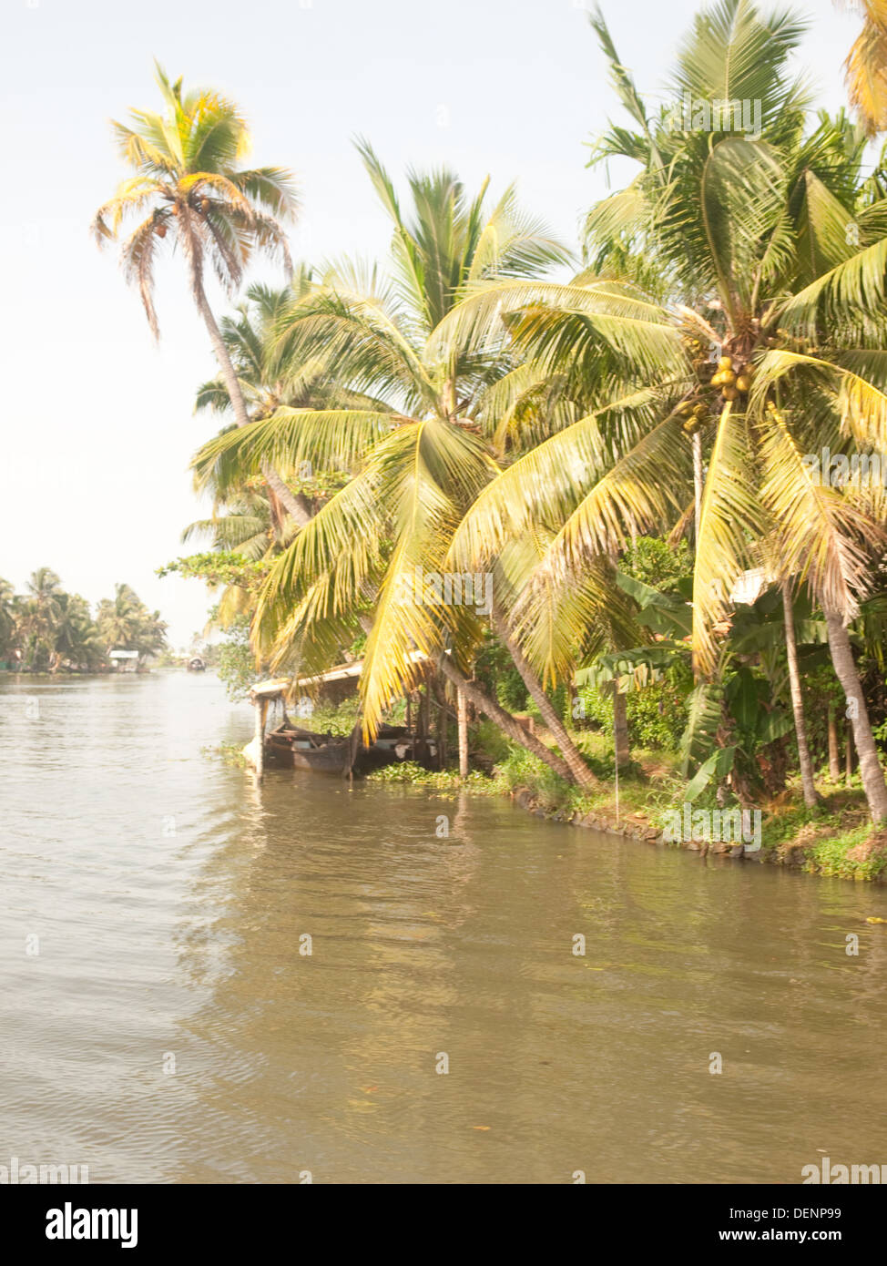 Backwaters Kerala, India Stock Photo - Alamy