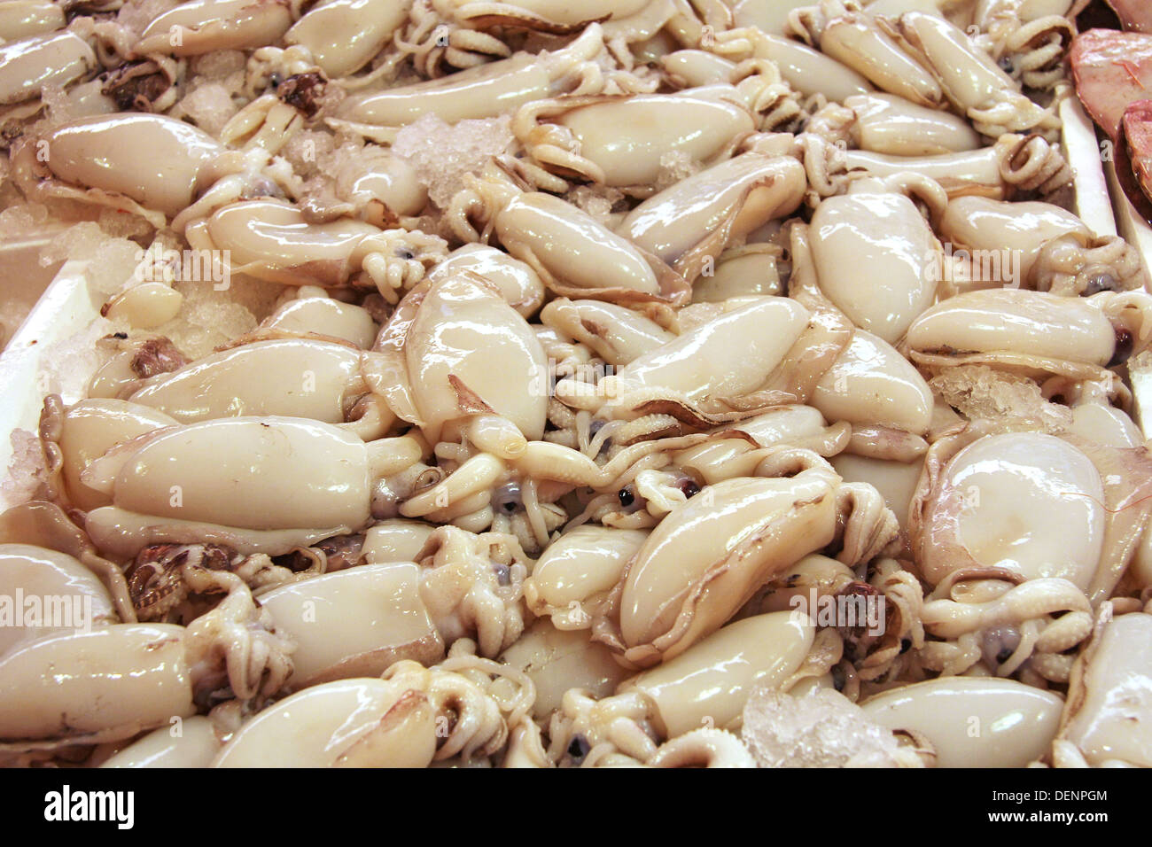Shrimp in fish market hi-res stock photography and images - Alamy