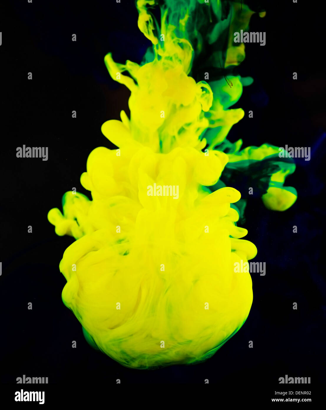 inks in water, color abstraction, color explosion Stock Photo - Alamy