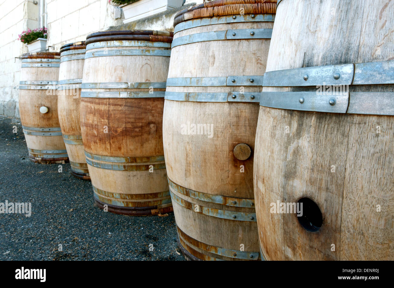 aligned group of some old wine barrels Stock Photo - Alamy