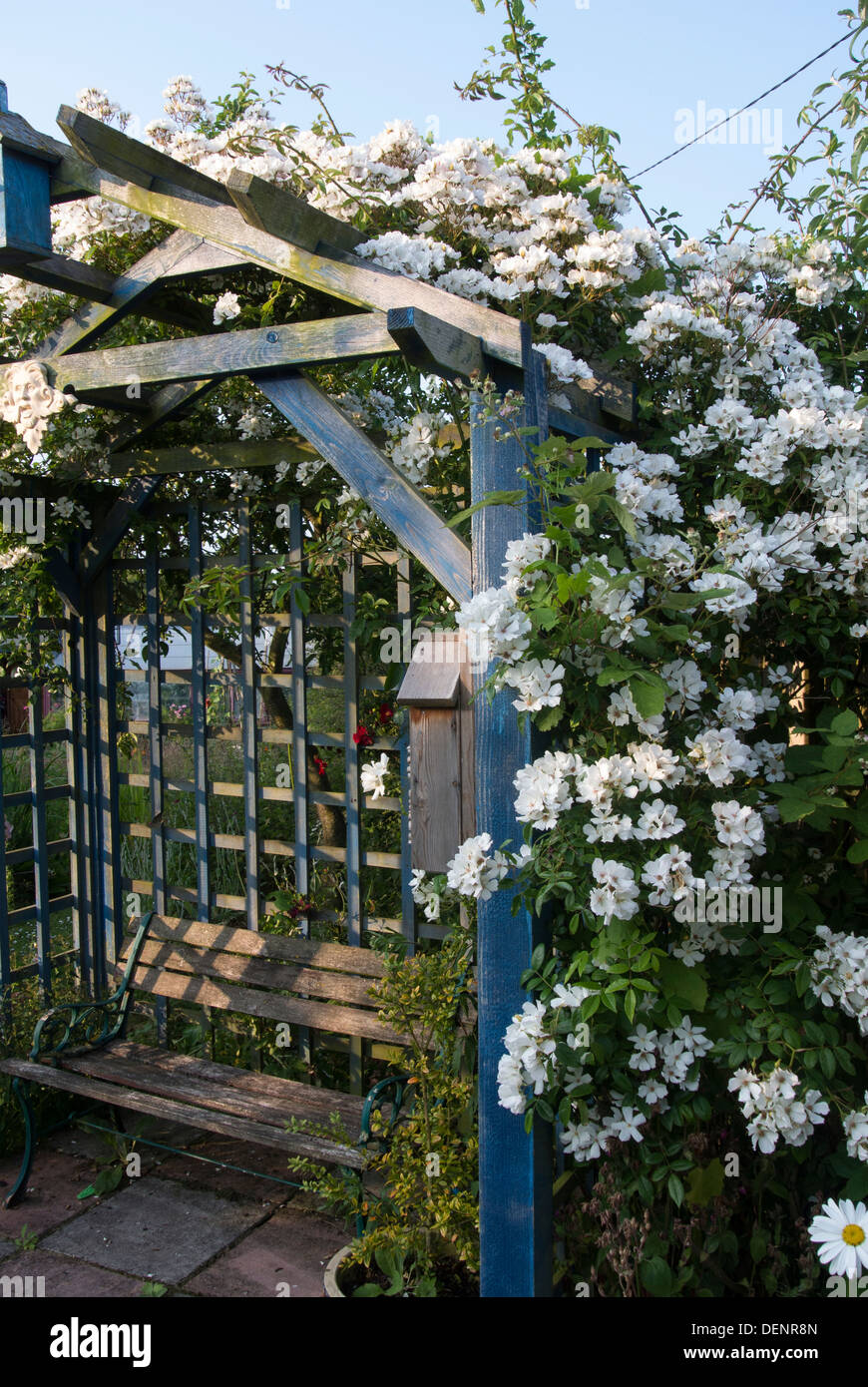 Rose garden arbor hi-res stock photography and images - Alamy