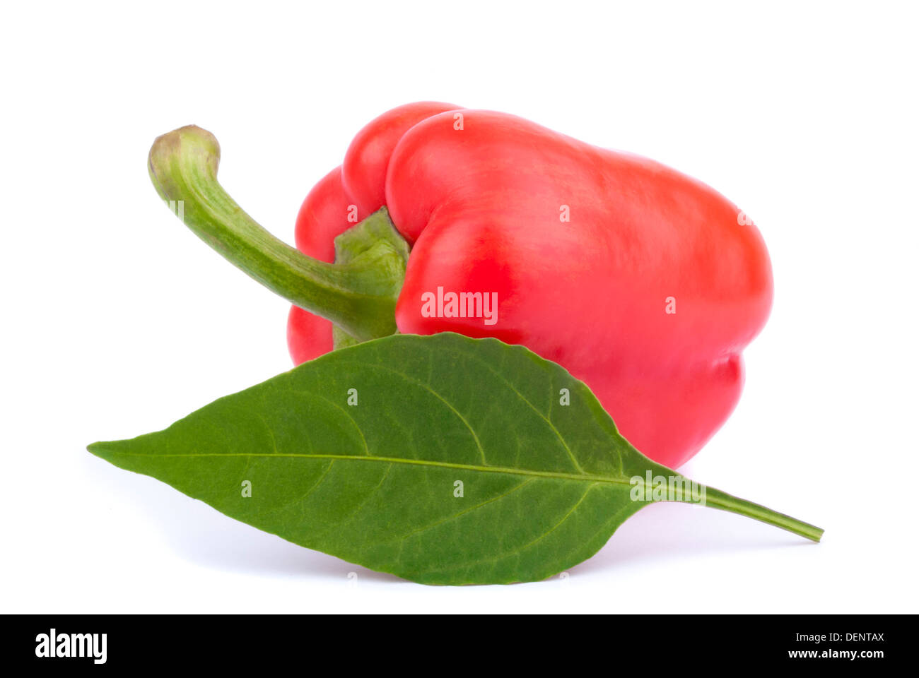 Red sweet pepper with leaf on a white background Stock Photo - Alamy