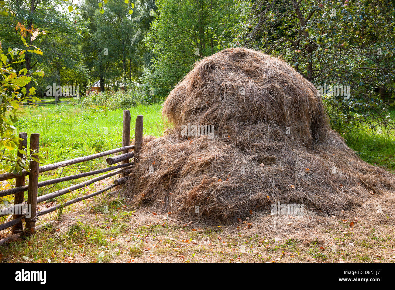 Russian haystack hi-res stock photography and images - Alamy