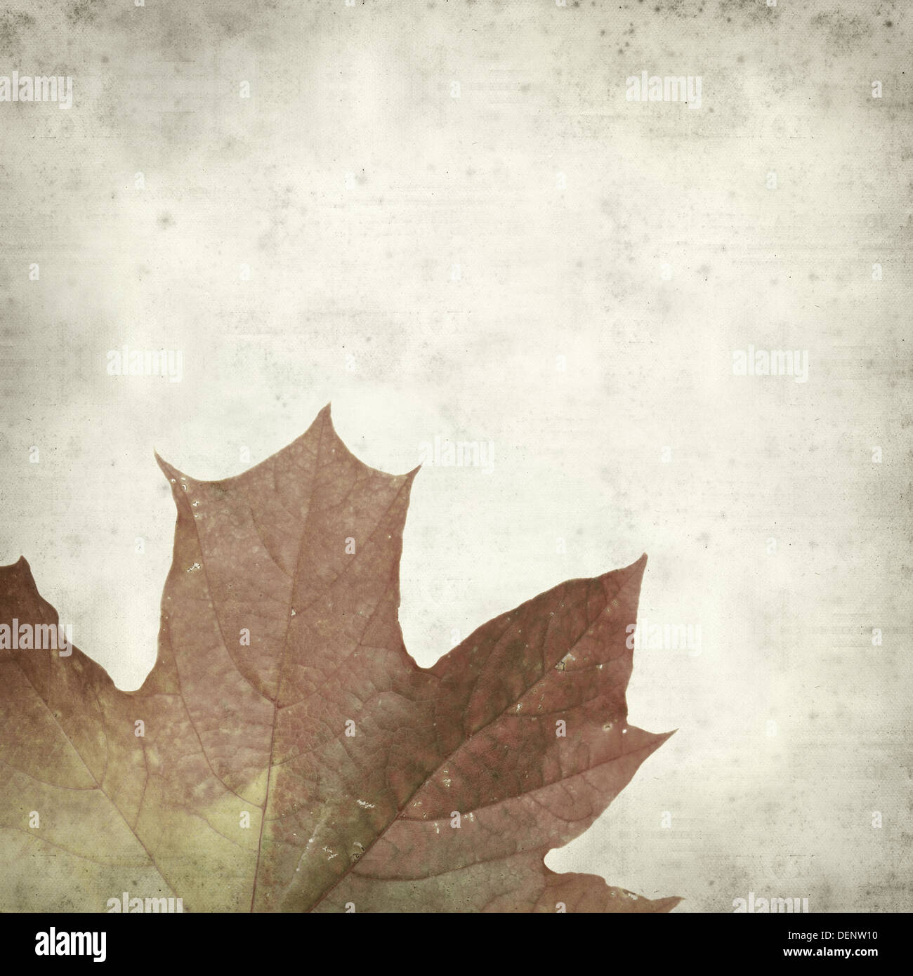 textured old paper background with maple leaf Stock Photo - Alamy