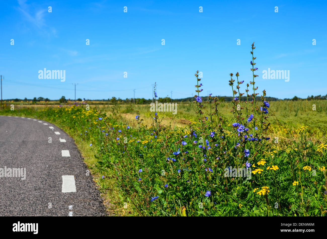 Road side flowers hi-res stock photography and images - Alamy