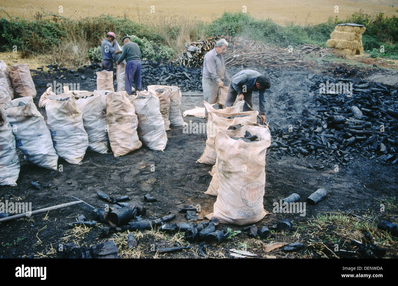Picking up coal hi-res stock photography and images - Alamy