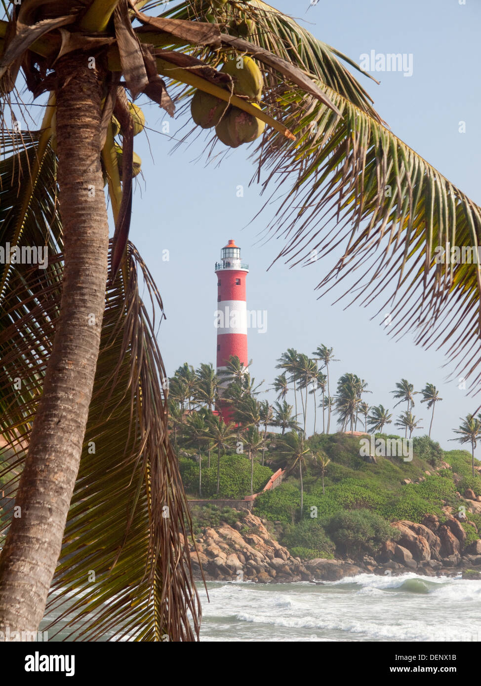 Windswept palm tree hi-res stock photography and images - Alamy