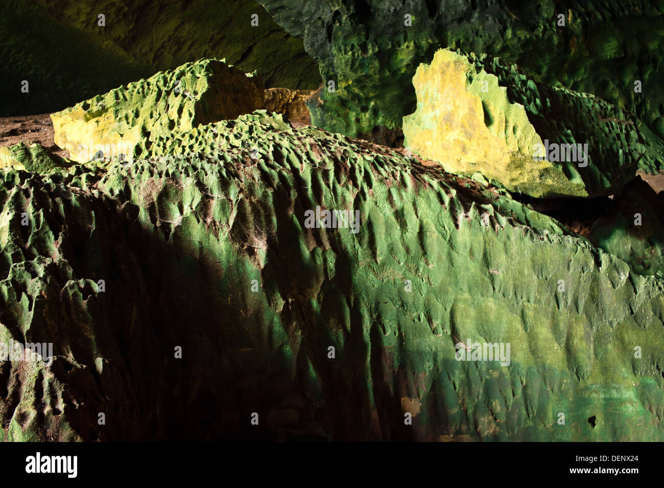 Cave lichen hi-res stock photography and images - Alamy