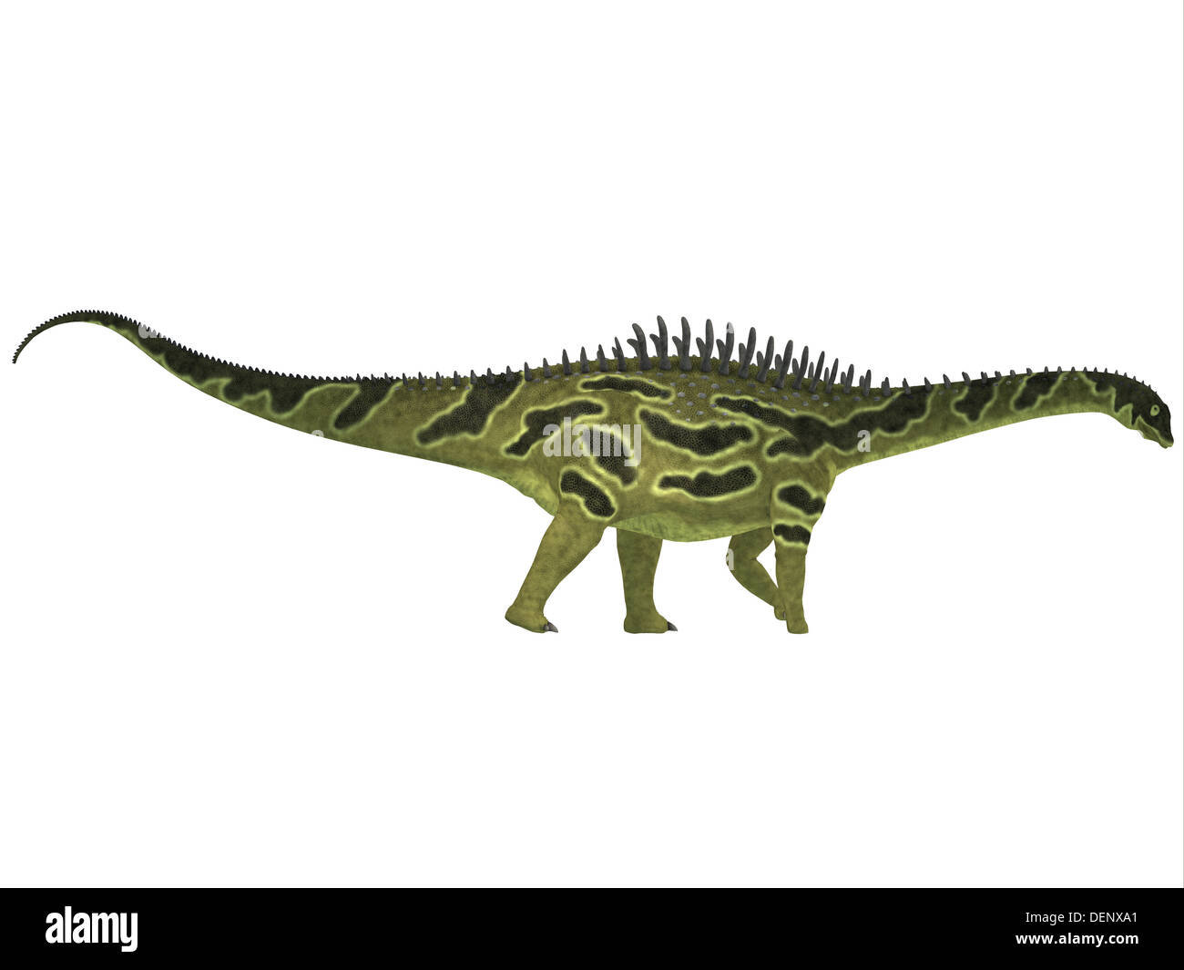 Dinosaur King Agustinia