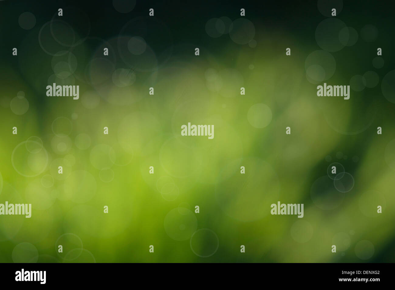 Bright abstract green color background Stock Photo - Alamy
