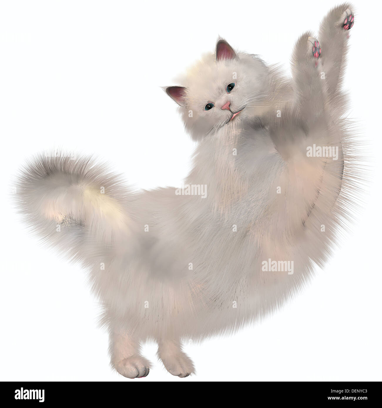 Oriental Longhairs feature a long tubular, Siamese-style body but with ...