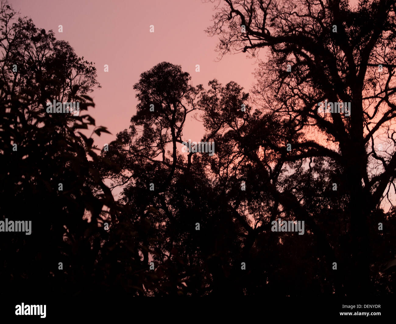 Munnar kerala sunset hi-res stock photography and images - Alamy