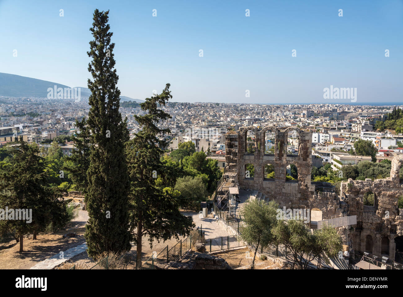 The Pines of Athens Stock Photo - Alamy
