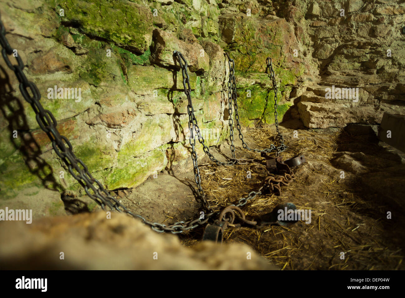 Castle dungeon prison with chains chain and moss on stone walls Stock ...