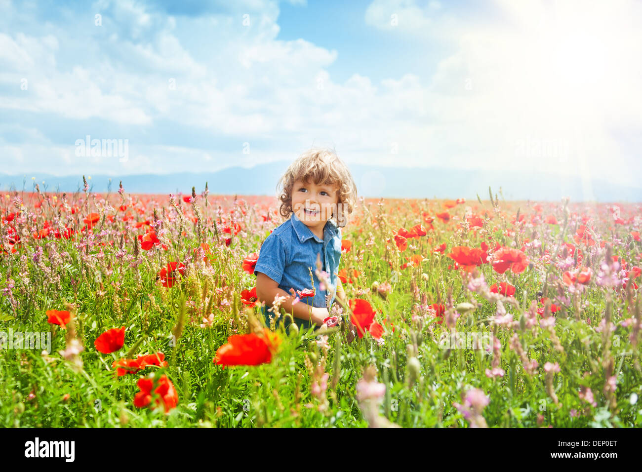 Little boy in poppy field with lot's of red flowers on sunny day Stock ...