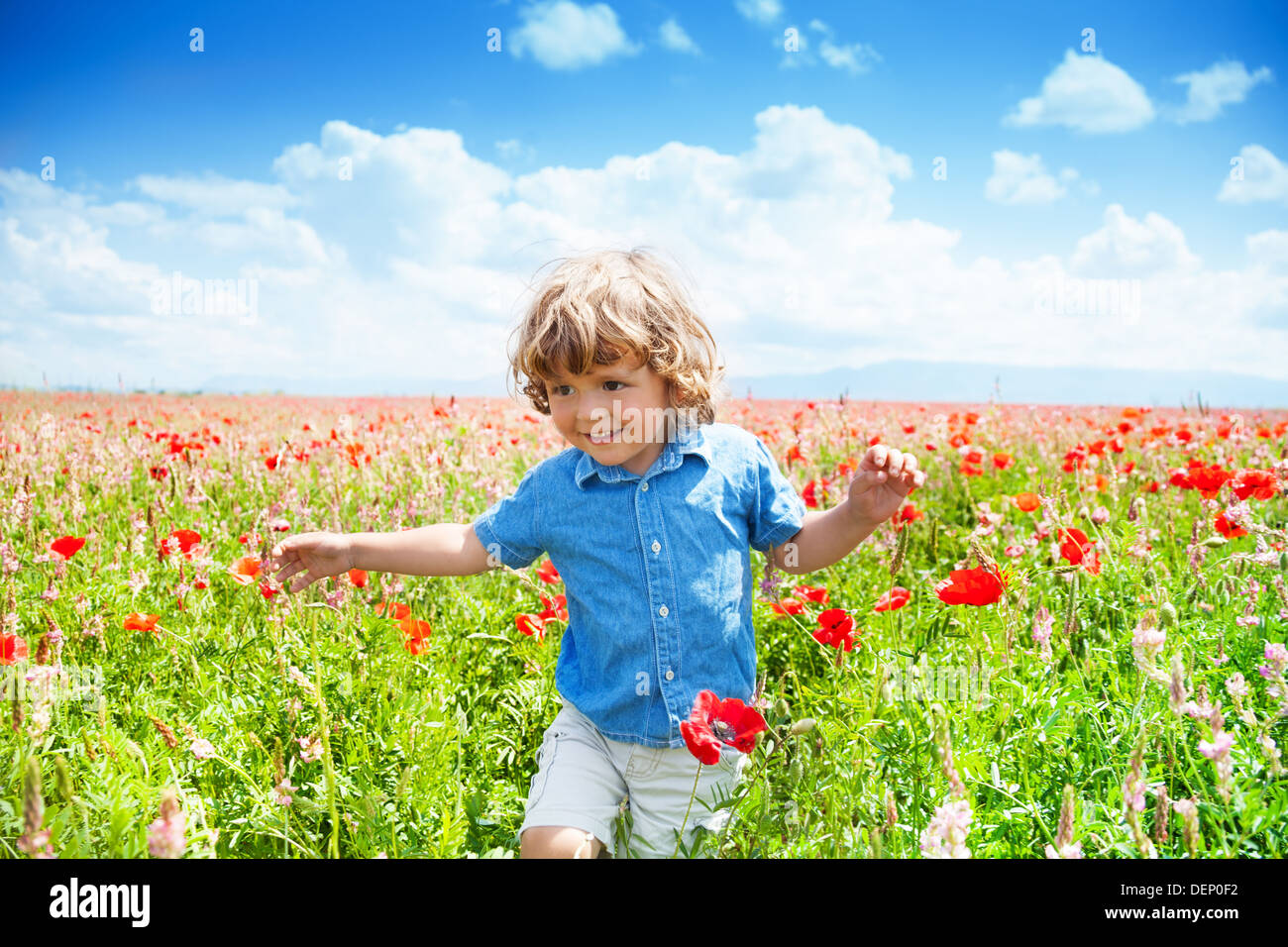 Happy little boy in blue short running in poppy red flowers field in ...