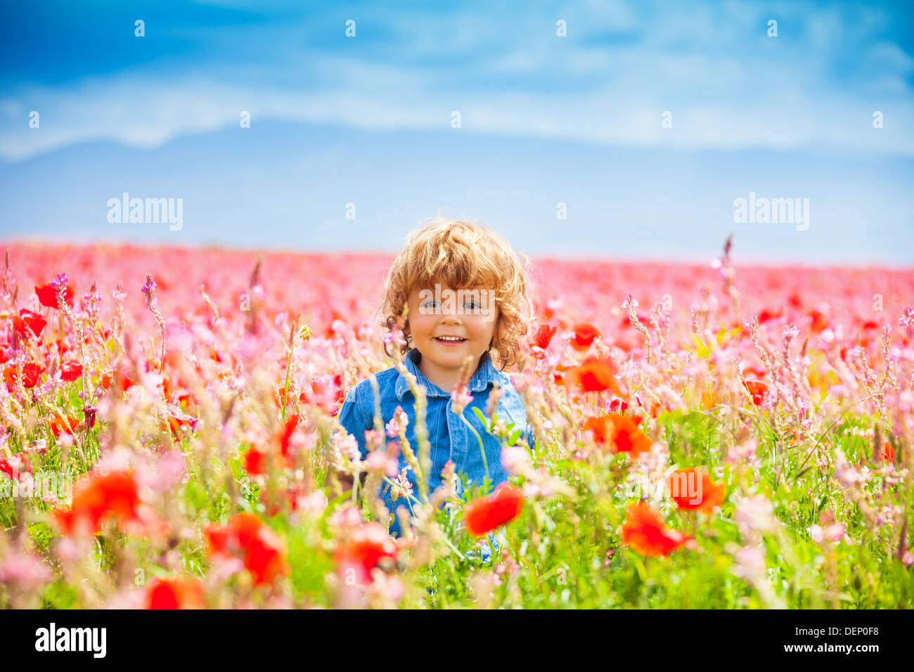 Happy little smiling boy standing and smiling in poppy field Stock ...