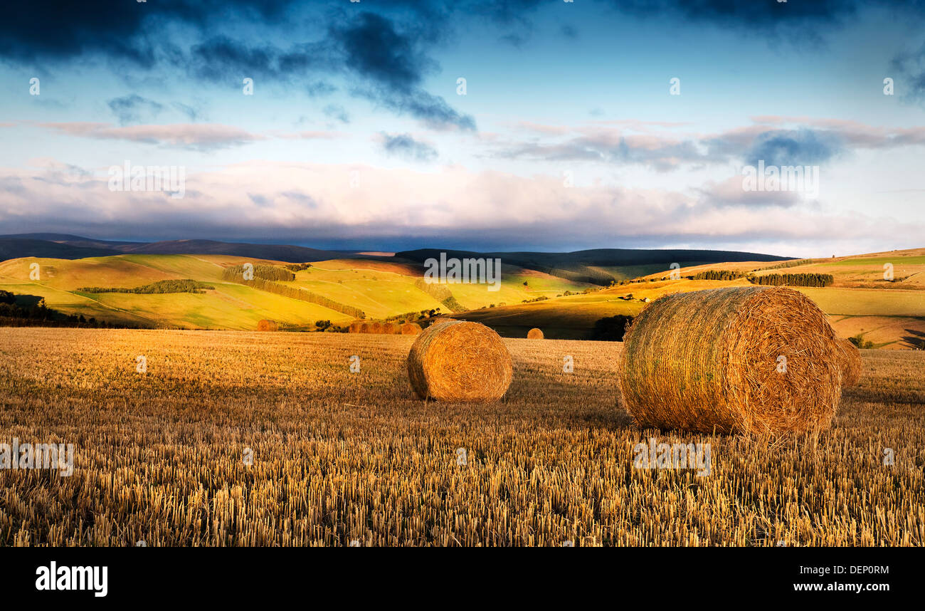 Harvest scottish hi-res stock photography and images - Alamy