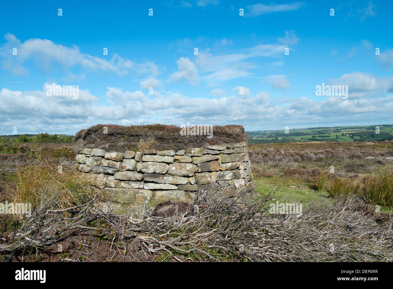 Grouse Shooting On Moor Stock Photos & Grouse Shooting On Moor Stock ...