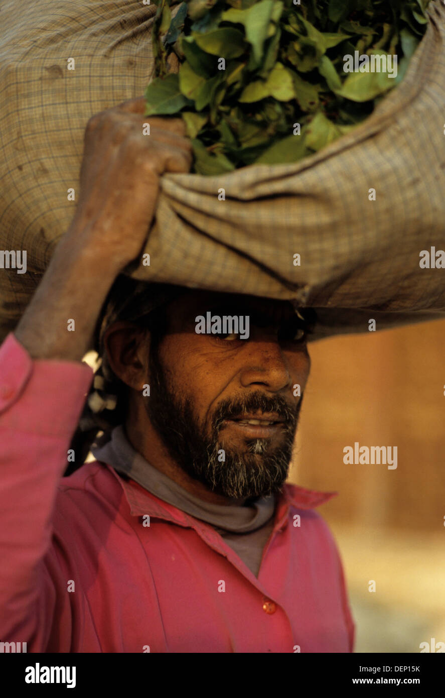 nepal, himalaya, village, face, people, nepalese, asia, asian, culture ...