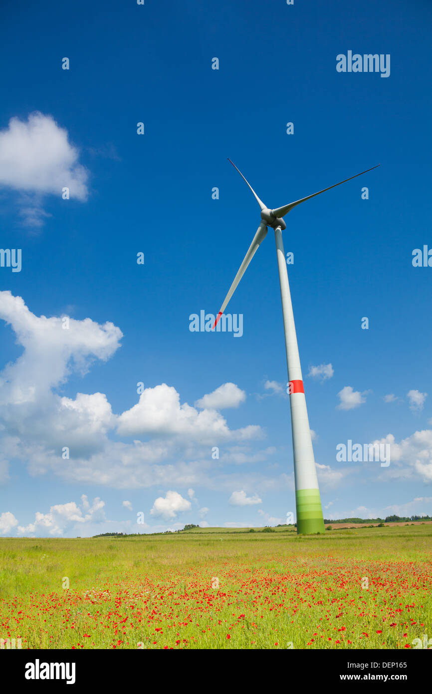 One wind turbine in the green field with poppy flowers on clean sky ...